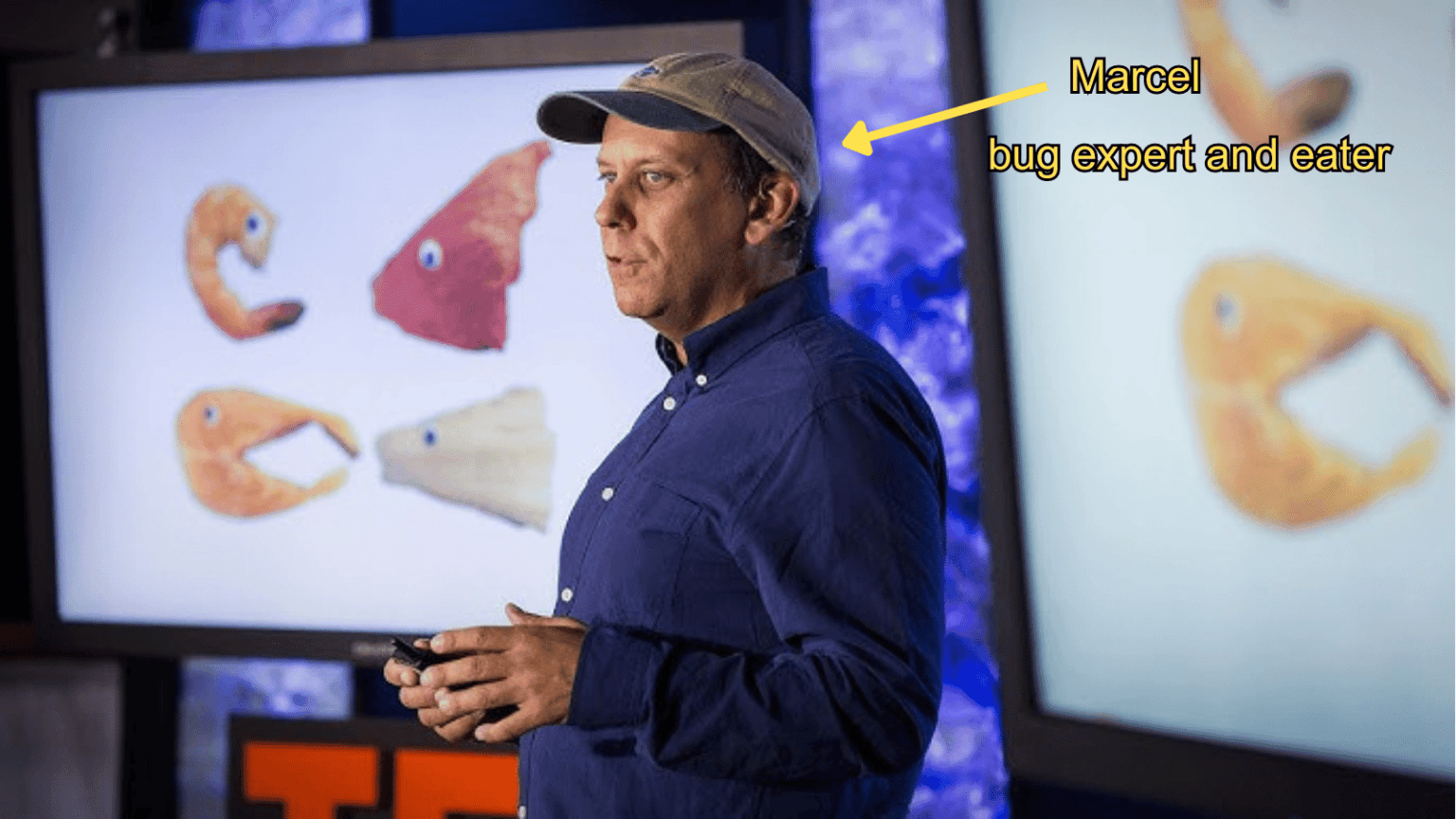 Is Protein Powder Made from Bugs?