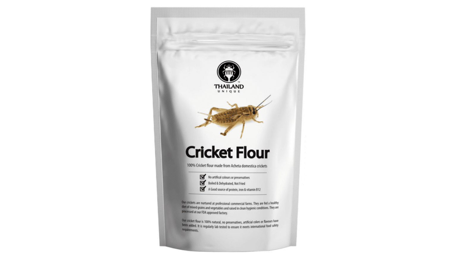 12 Cricket Flour Recipes and Uses